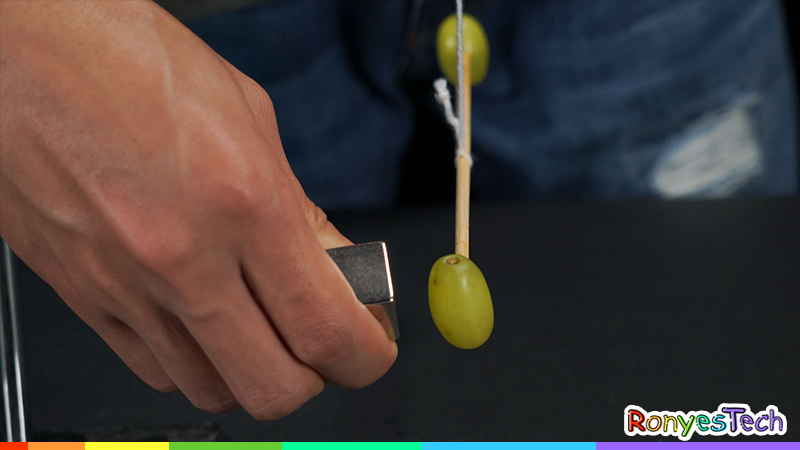 Magnetic Fruit - Science Experiment for Kids - Science Experiments for ...