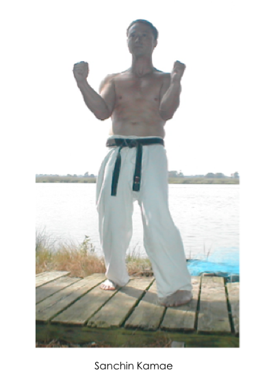 Isshinryu Karatedo Kobudo: The Postures of Isshin-ryu Karate