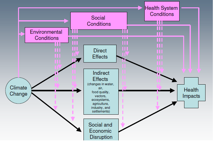 Can Ecological Conservation Prevent the Next Viral Epidemic?: Drawing ...