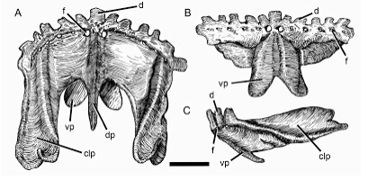 The Ornithischian Revolution
