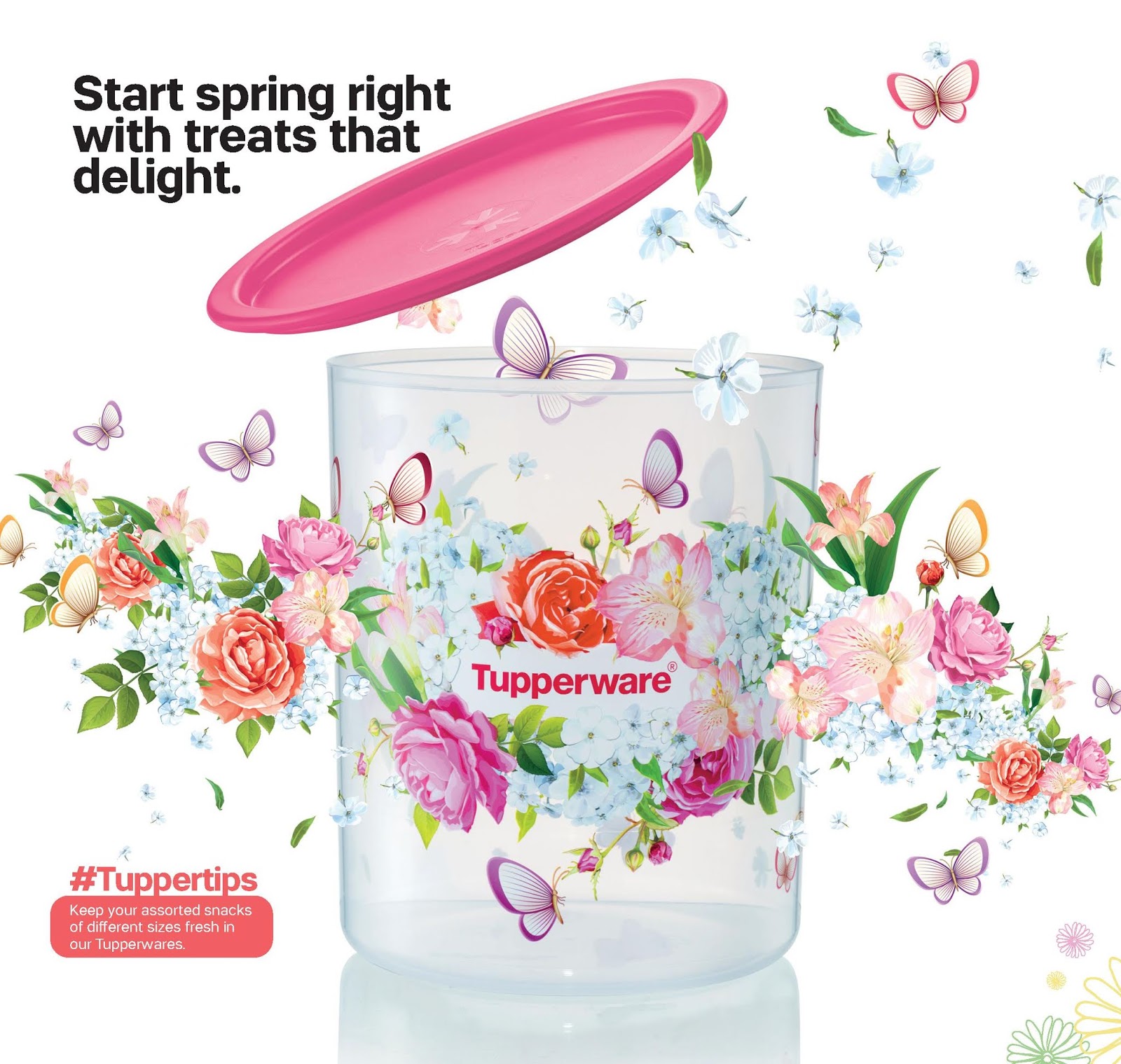 Jom Tapau Weh!: Tupperware Malaysia Online: Katalog Januari 2020