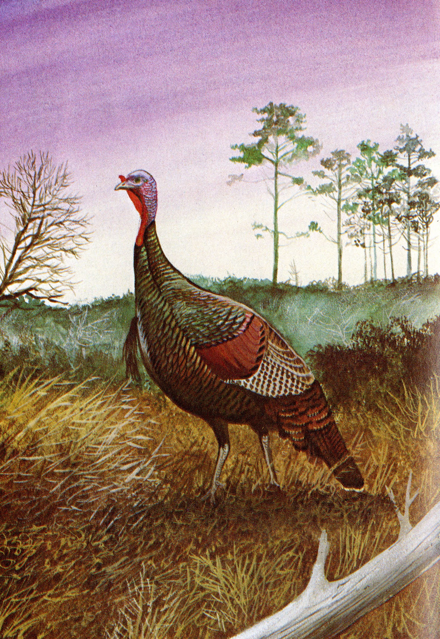 The Kellenberger Room: 2020