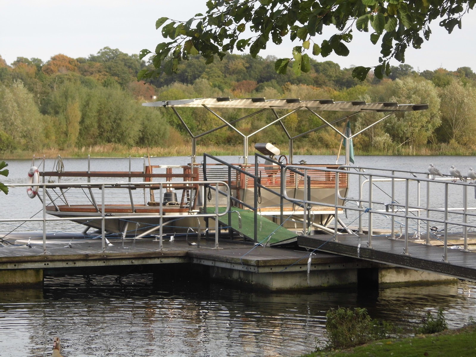 Birds and Beer: WHITLINGHAM: An overdue boat trip and lots of fungi