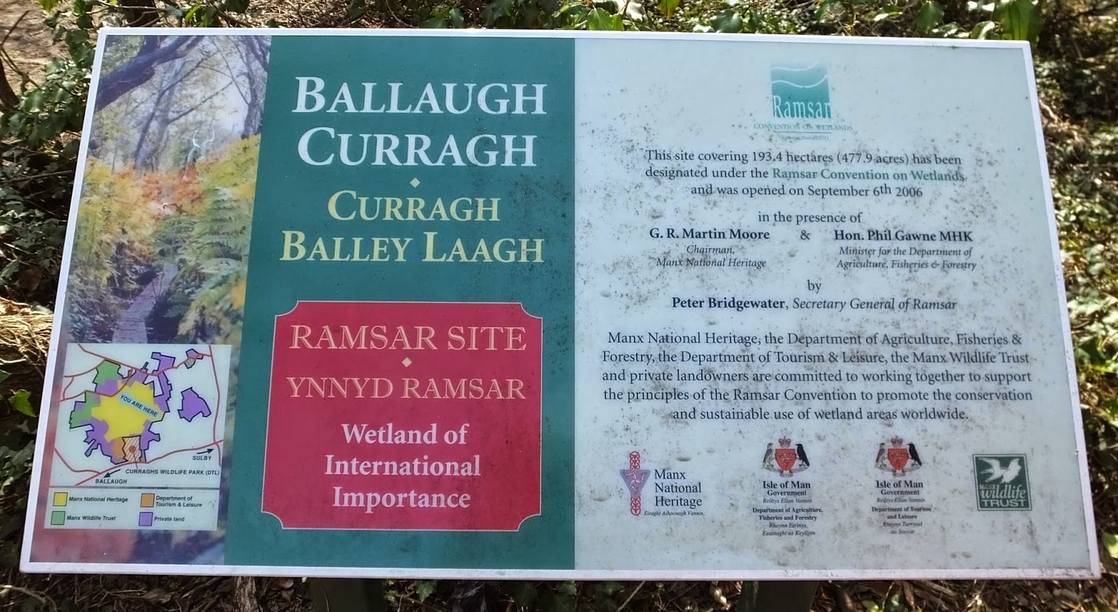 A Wallaby Walk in the Curragh - North American Manx Association