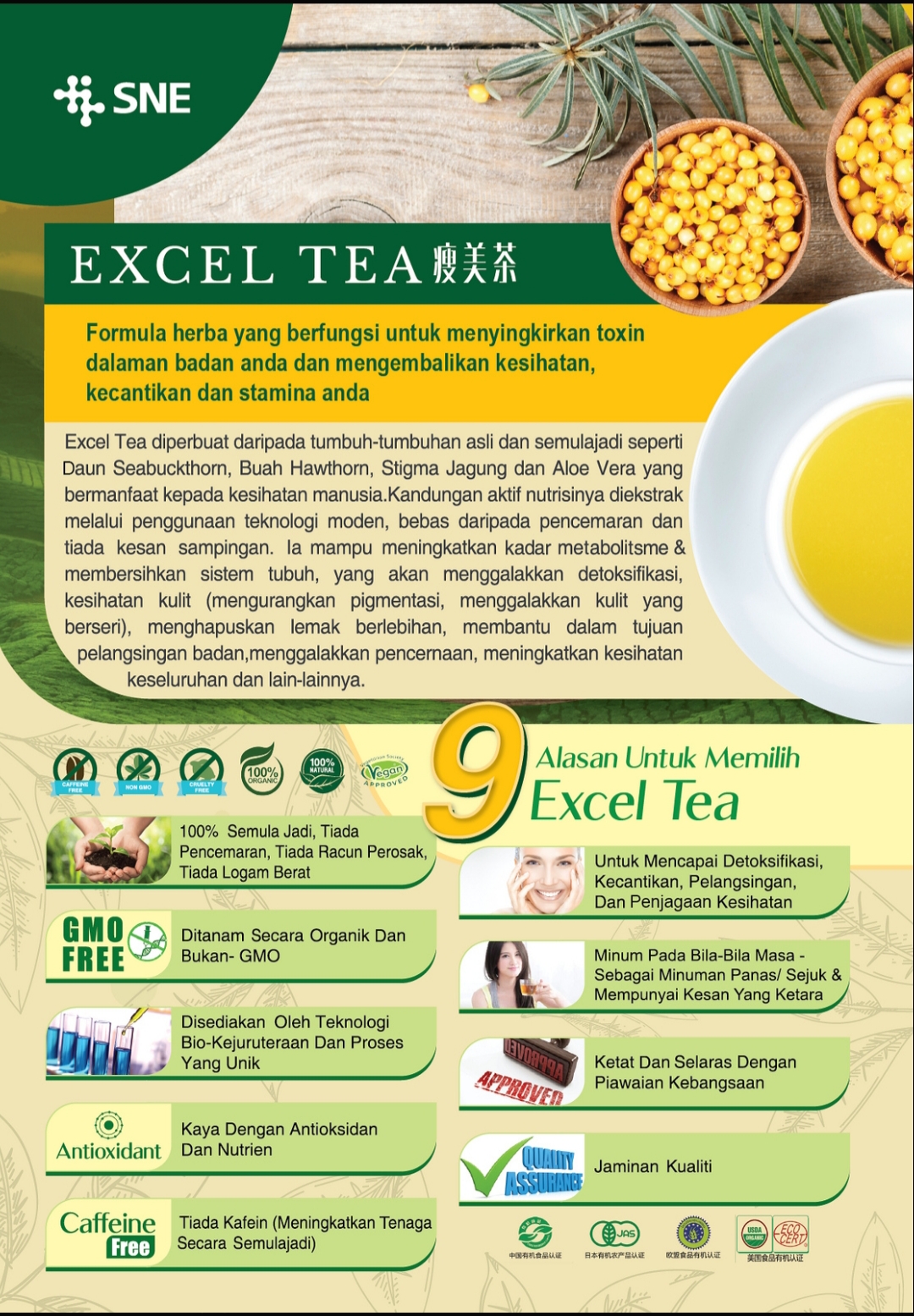 EXCEL TEA 瘦美茶