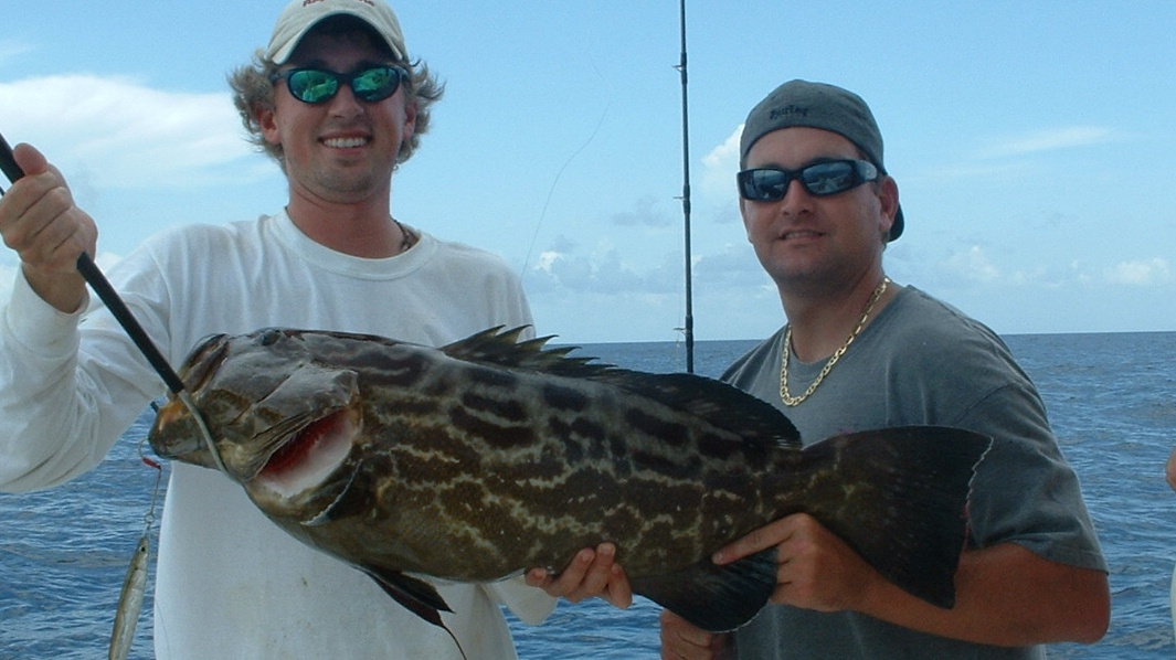 Grouper Fish Cooked Recipe Easy to Follow - Frozen Grouper Supplier ...