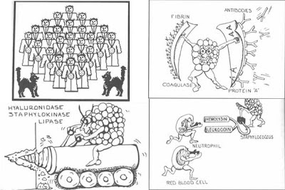 medical books: Clinical microbiology made ridiculously simple (6th edition)
