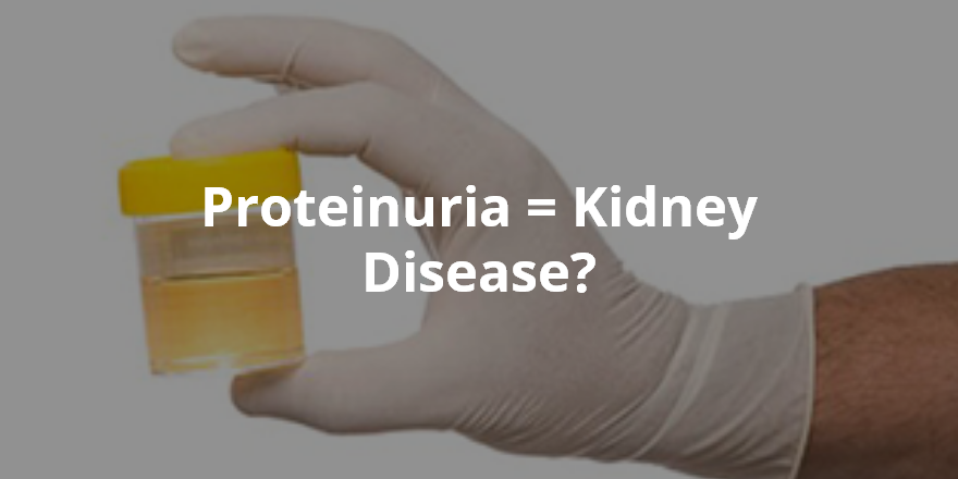 Proteinuria