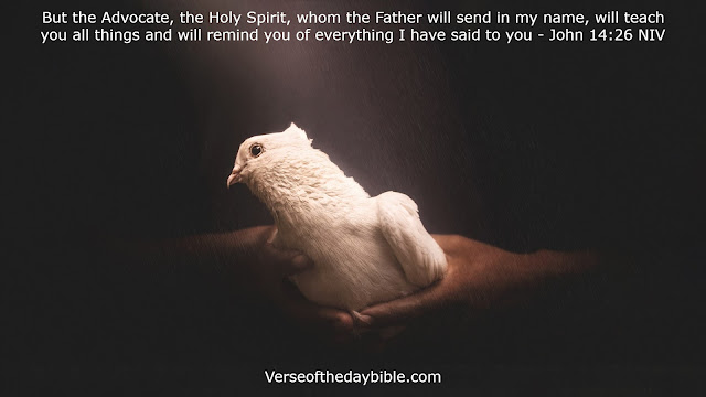 Verse of the day in English - John 14:26 NIV - Verseofthedaybible.com