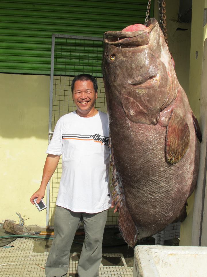 38. Exile in New Zealand: Big fish