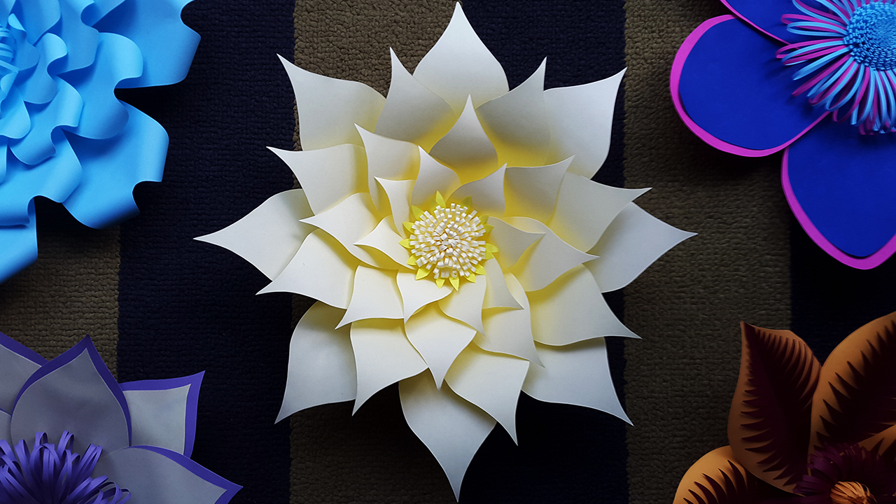 Colors Paper: DIY Paper Flower Backdrop Tutorial with Free Template ... Colors Paper: DIY Paper Flower Backdrop Tutorial with Free Template ...
