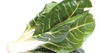 les fruits bios du sud: Les bienfaits des blettes