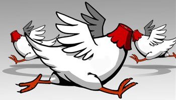 PDX-TIE.ORG: Intel Corp.The “Headless Chicken” Syndrome