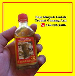 Pembekal Utama Pati Minyak Lintah Gunung Asli MLTGA Oil Plus Original