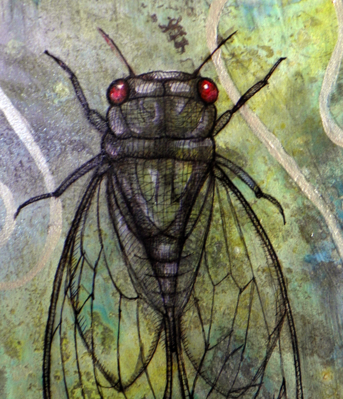 Latest Artwork: Red-Eyed Cicada