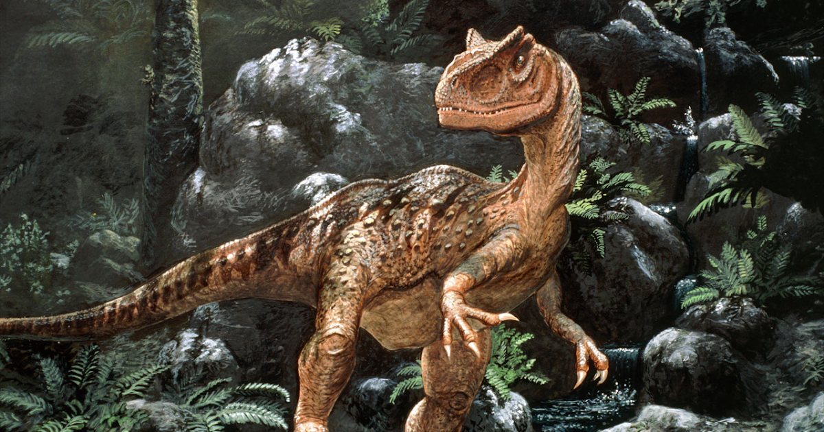 Dinossauros e a Vida Pré Histórica: Allosaurus ou Alossauro