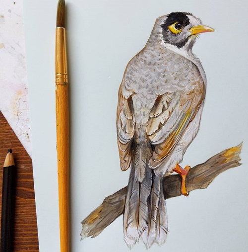 My Owl Barn: Gouache Bird Paintings By Kaitlin Hoyt