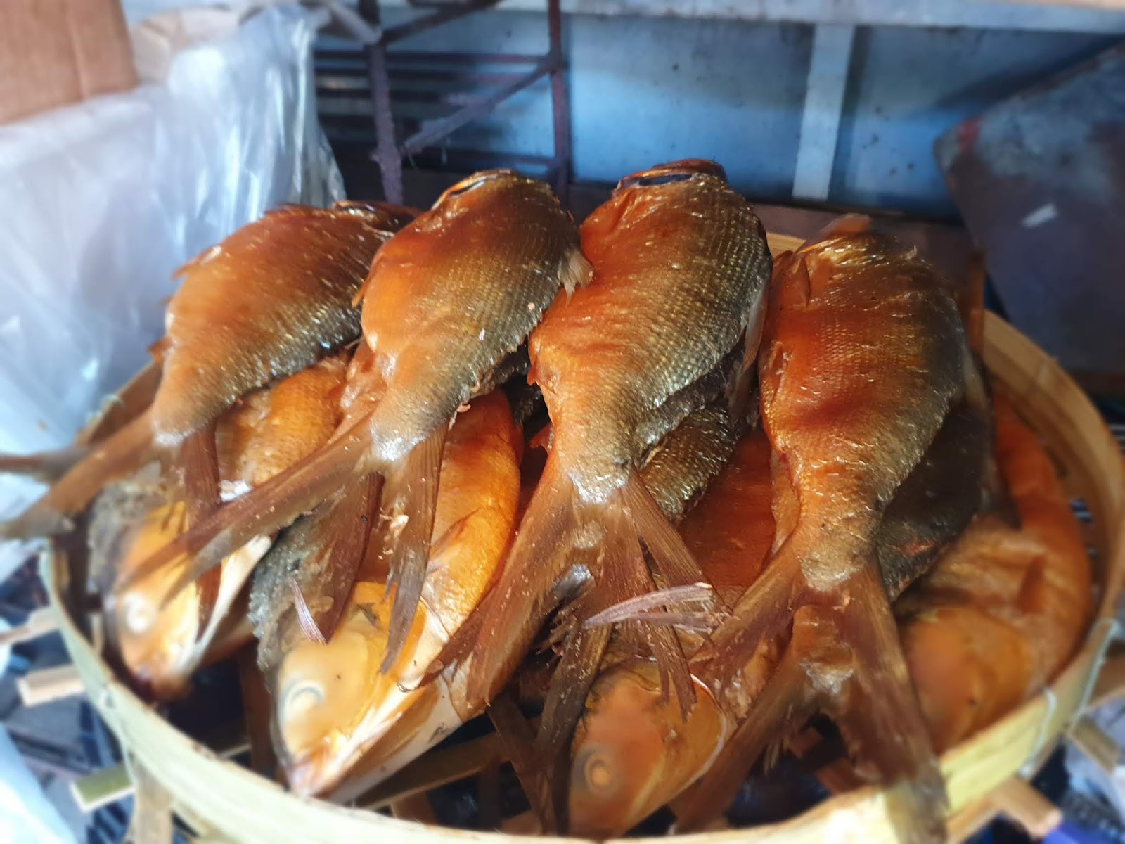 Day Trip to Balanga, Bataan in the Philippines