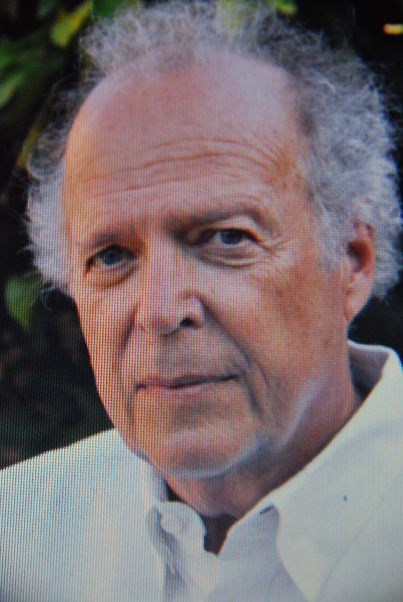 Idiomas olvidados: CUATRO POEMAS DEL INCREÍBLE JOSEPH STROUD