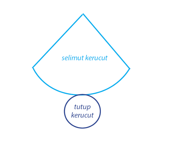 sharing: Jaring jaring kerucut