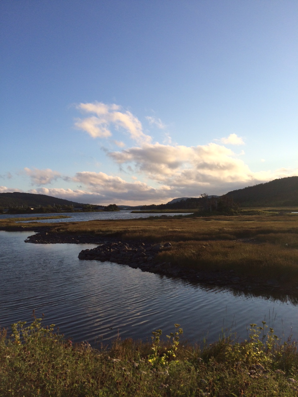 Stewardship Association of Municipalities: Newfoundland & Labrador ...