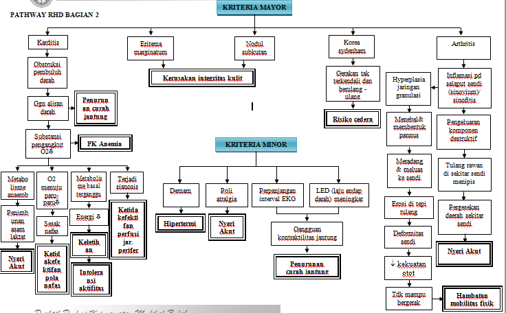 Asuhan Keperawatan dan LP: REUMATIK HEART DISEASE (RHD)