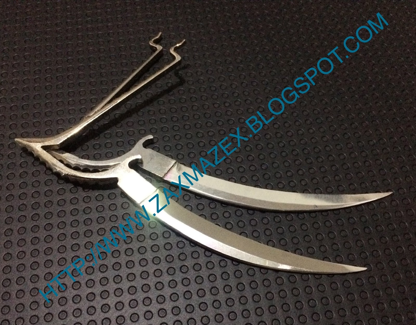 TAJIKU - TAJI AYAM FILIPINA: Model Taji Ayam