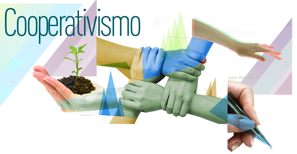 bcm gestión de pymes: Todo lo que debes saber de las cooperativas