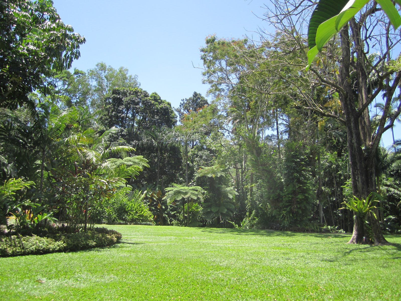 Arob's Australian Adventures: Cairns Botanical Gardens