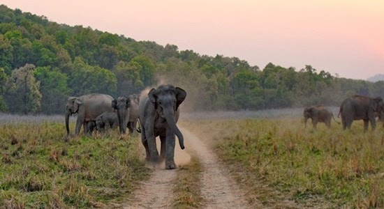 Places to visit in Bihar: Bhimbandh Wildlife Sanctuary, Bihar, India ...