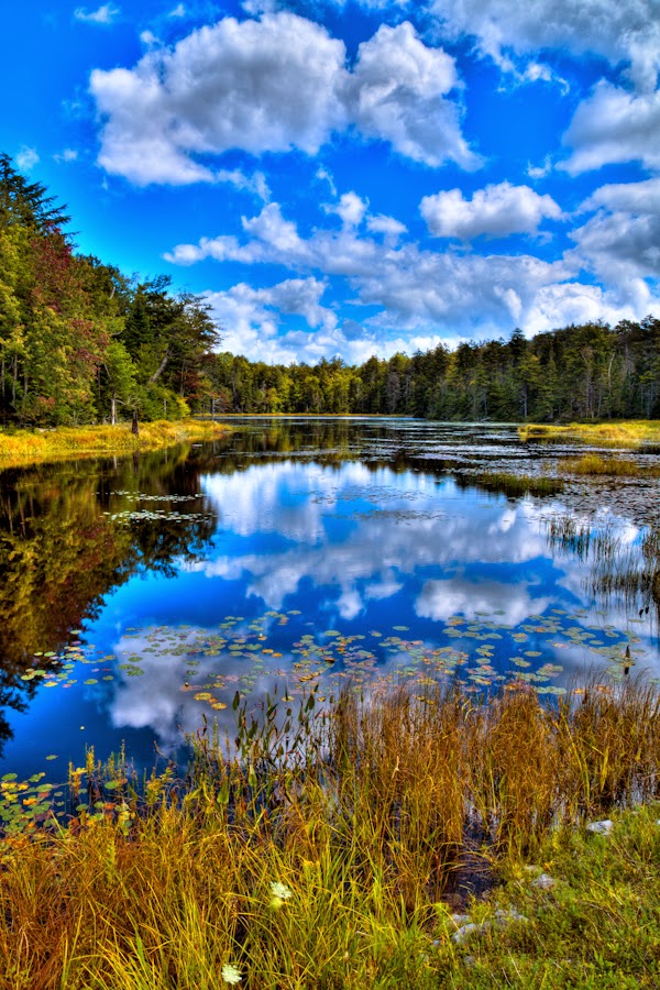 Adirondack Photography: Reflections at Fly Pond - Old Forge, New York