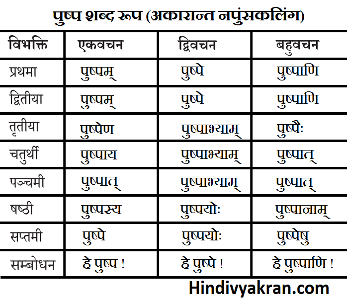 पुष्प शब्द रूप संस्कृत में – Pushp Shabd Roop In Sanskrit | HindiVyakran
