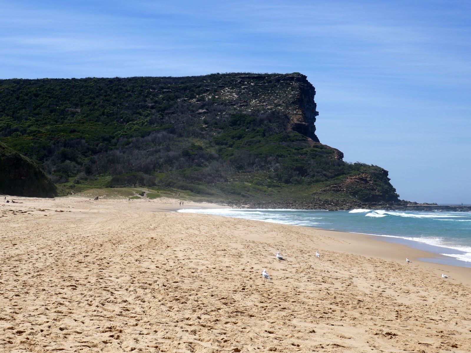 All The Gear But No Idea: Curra Moors, Curracurrong Falls, Eagle Rock ...