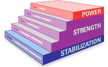 Daniel T. Fitness : Optimum Performance Training Phase 2-4: Strength Level