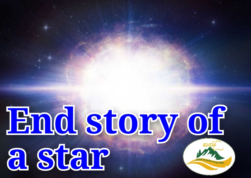 Science , Technology & Health Articles