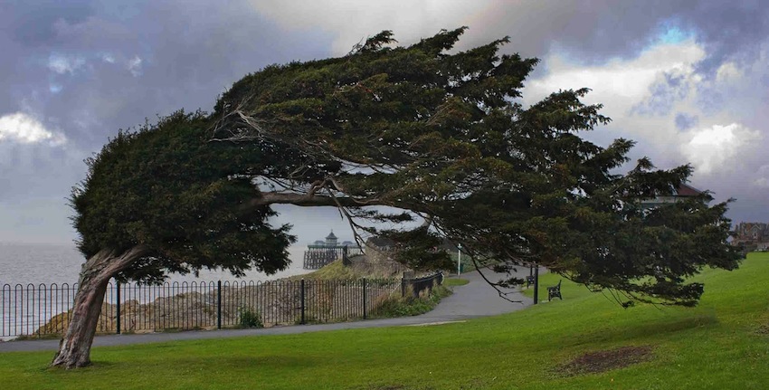 GEOLOGIA: Semana 11: "Accion Geologica del Viento"