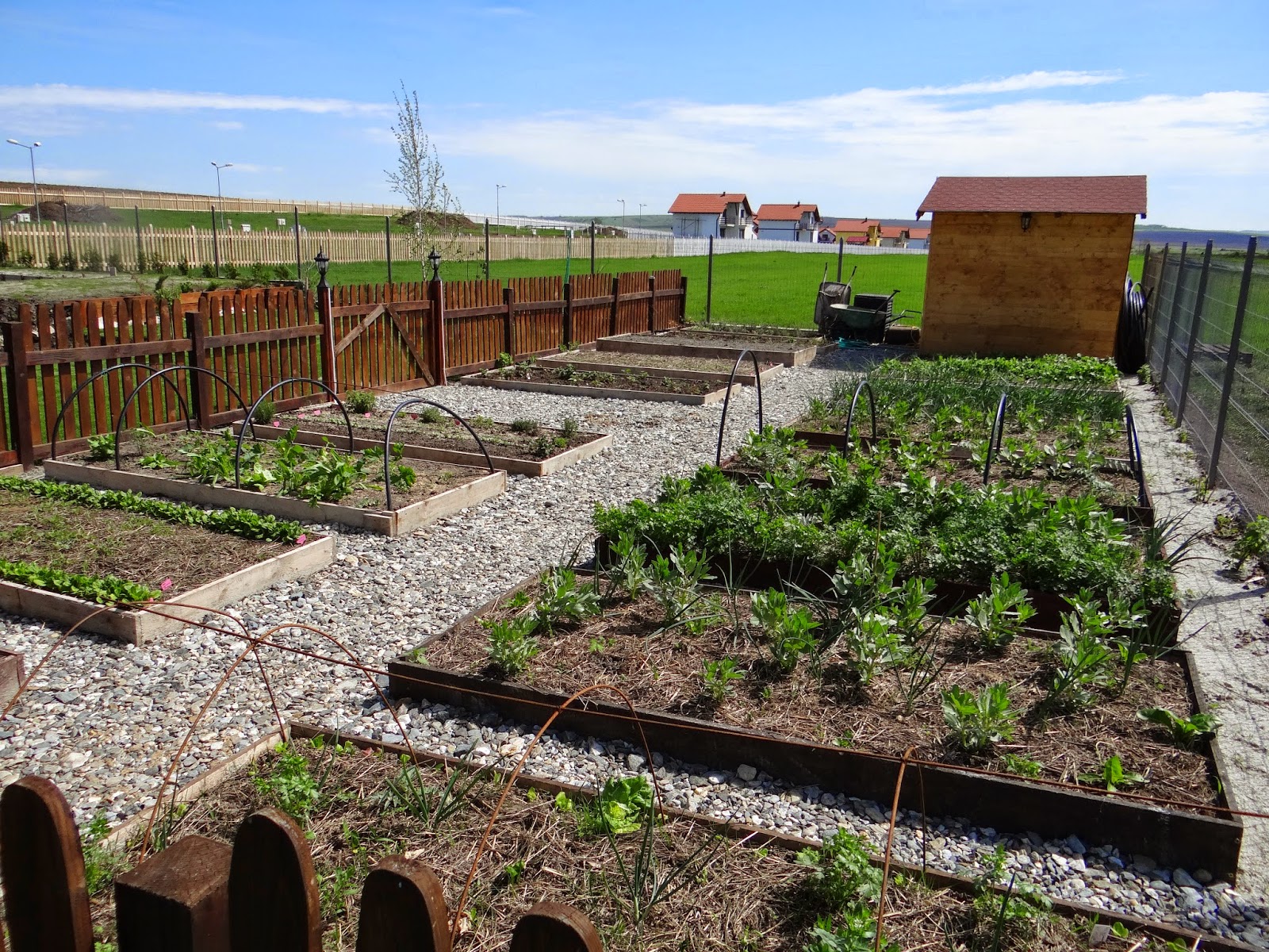 Gradina Viselor: Gradina de legume