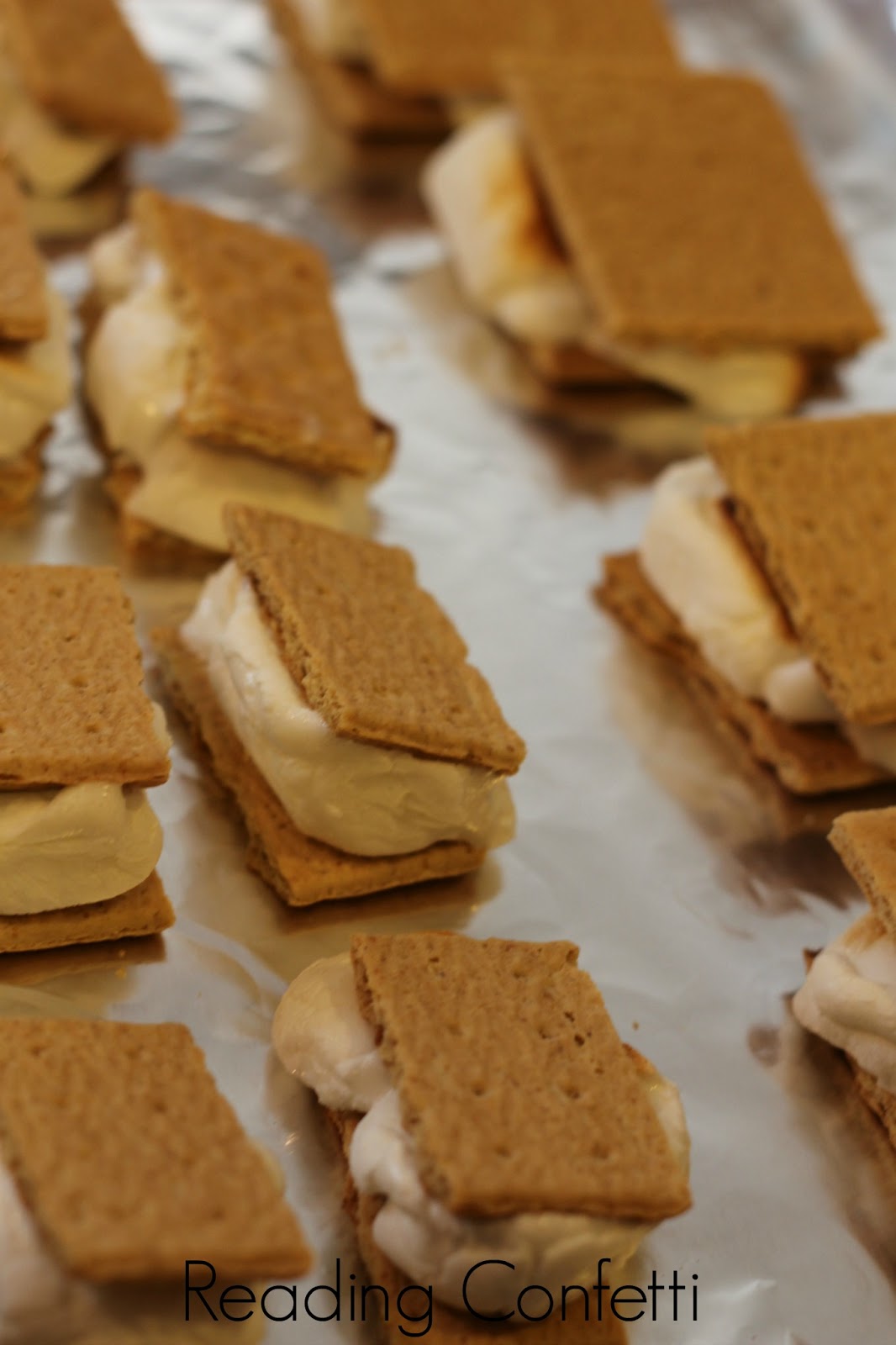 Frozen S'mores and Camping Books for Kids ~ Reading Confetti