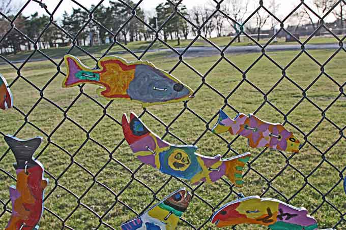 East Gwillimbury CameraGirl: Stream of Dreams/Our World