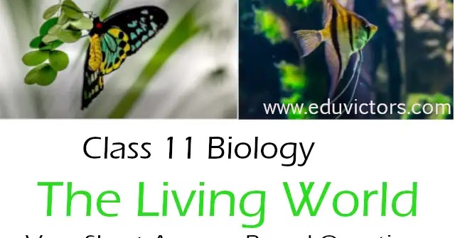 CBSE Papers, Questions, Answers, MCQ ...: CBSE Class 11 Biology - The ...