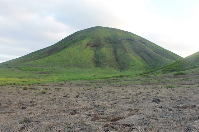 Biodiversidad de "El Bajío Profundo": ISLA CLARIÓN, ARCHIPIELAGO DE ...