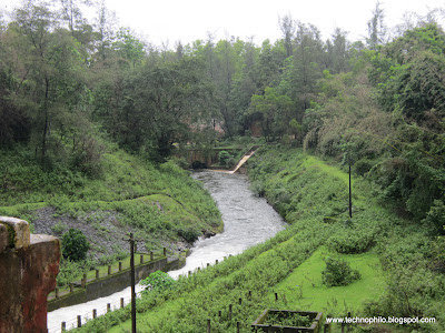 Why You Should Visit “Kodachadri”? – A Paradise on Earth ~ Creative ...