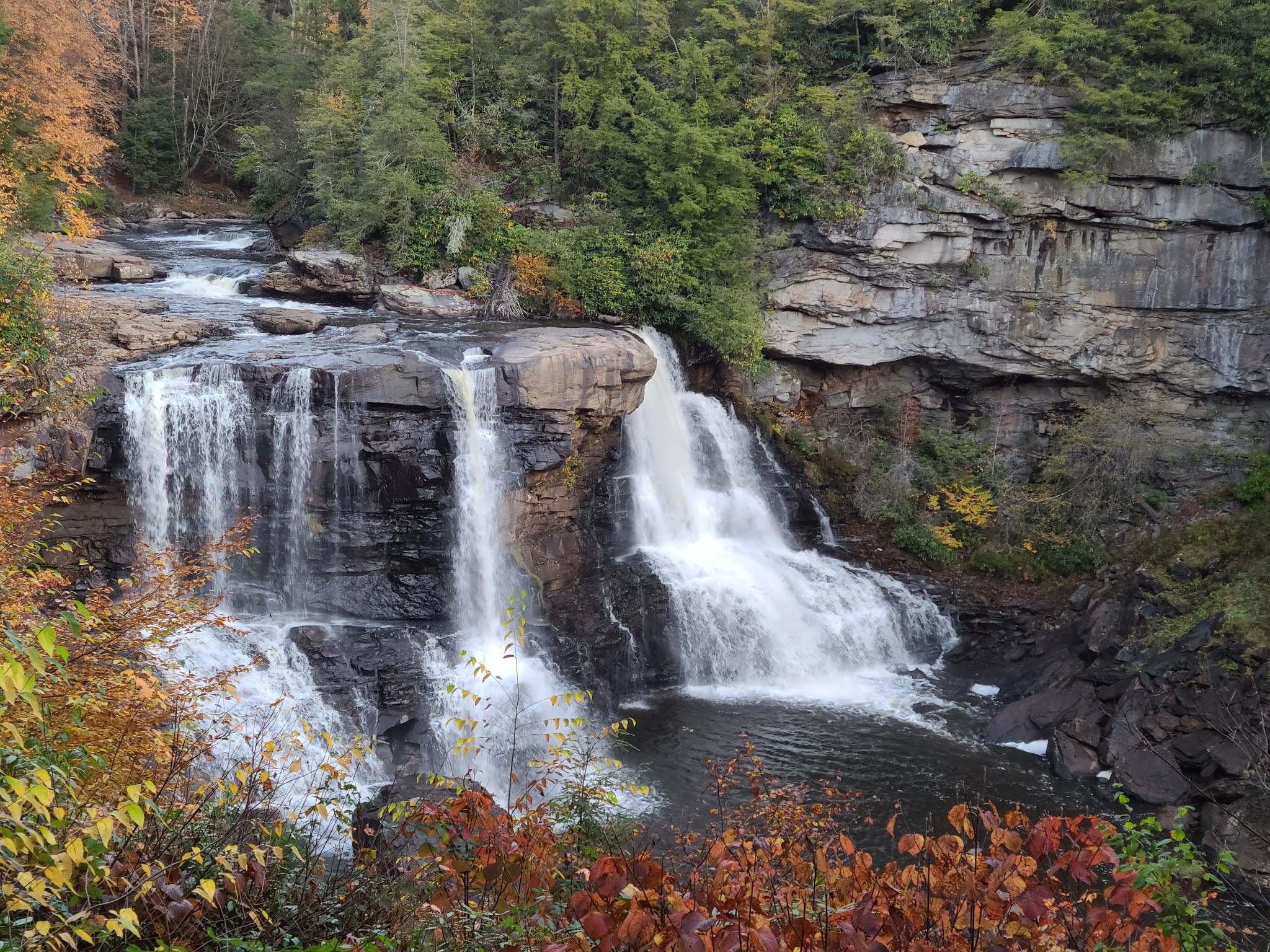 TWO PEAS AND THE POD: FALL COLOR AT BLACKWATER FALLS
