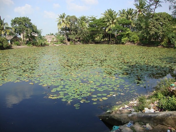 Tamilnadu Tourism: Agneeswarar Temple, Thirukkollikkadu – The Temple
