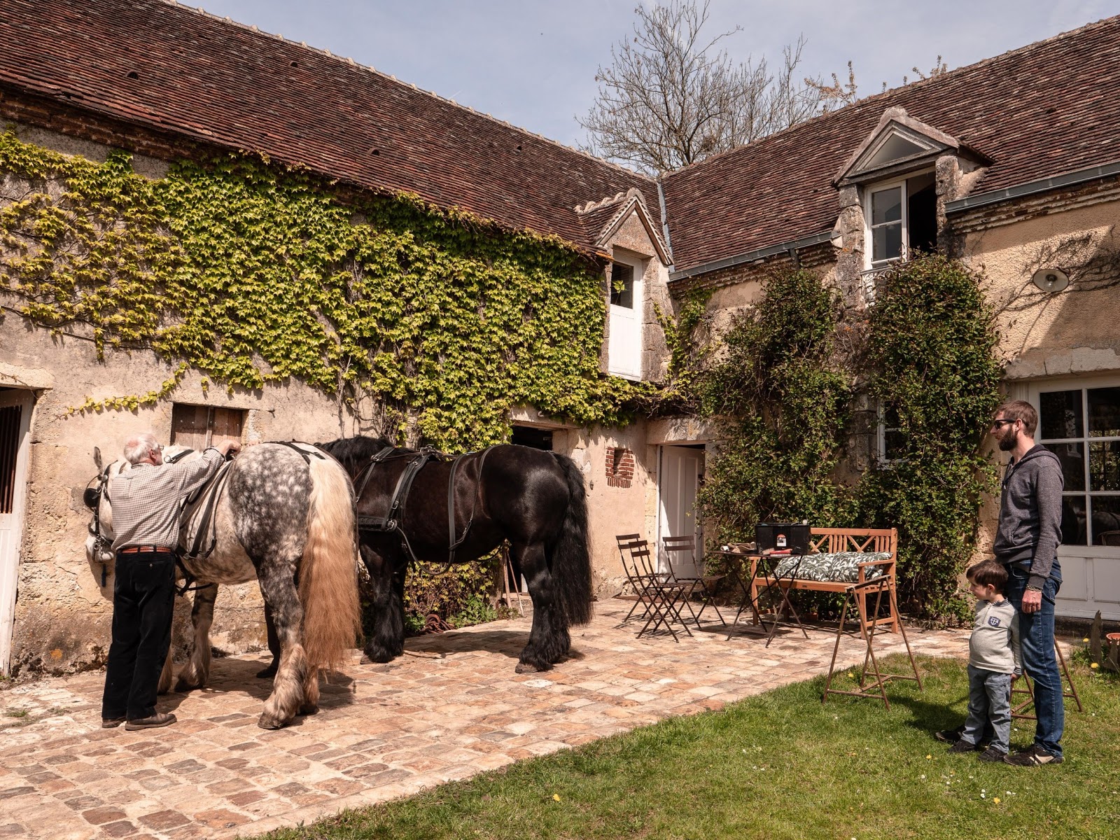 "Rencontre avec le cheval percheron, puissant emblème du Perche"