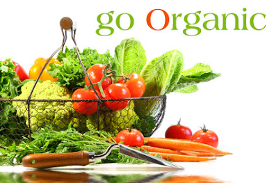 Why Should I Choose Organic Products?