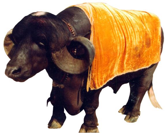 Satadhar, Aapa Giga, Satadhar Temple, Satadhar no pado, Satadhar ...