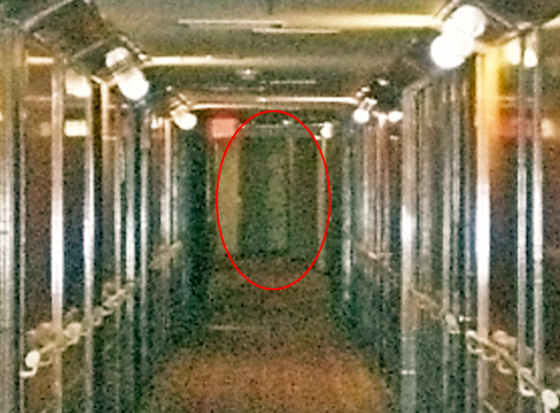 WHITE LADY GHOST CAUGHT ON QUEEN MARY OR A HOAX? | Haunted Earth`s ...
