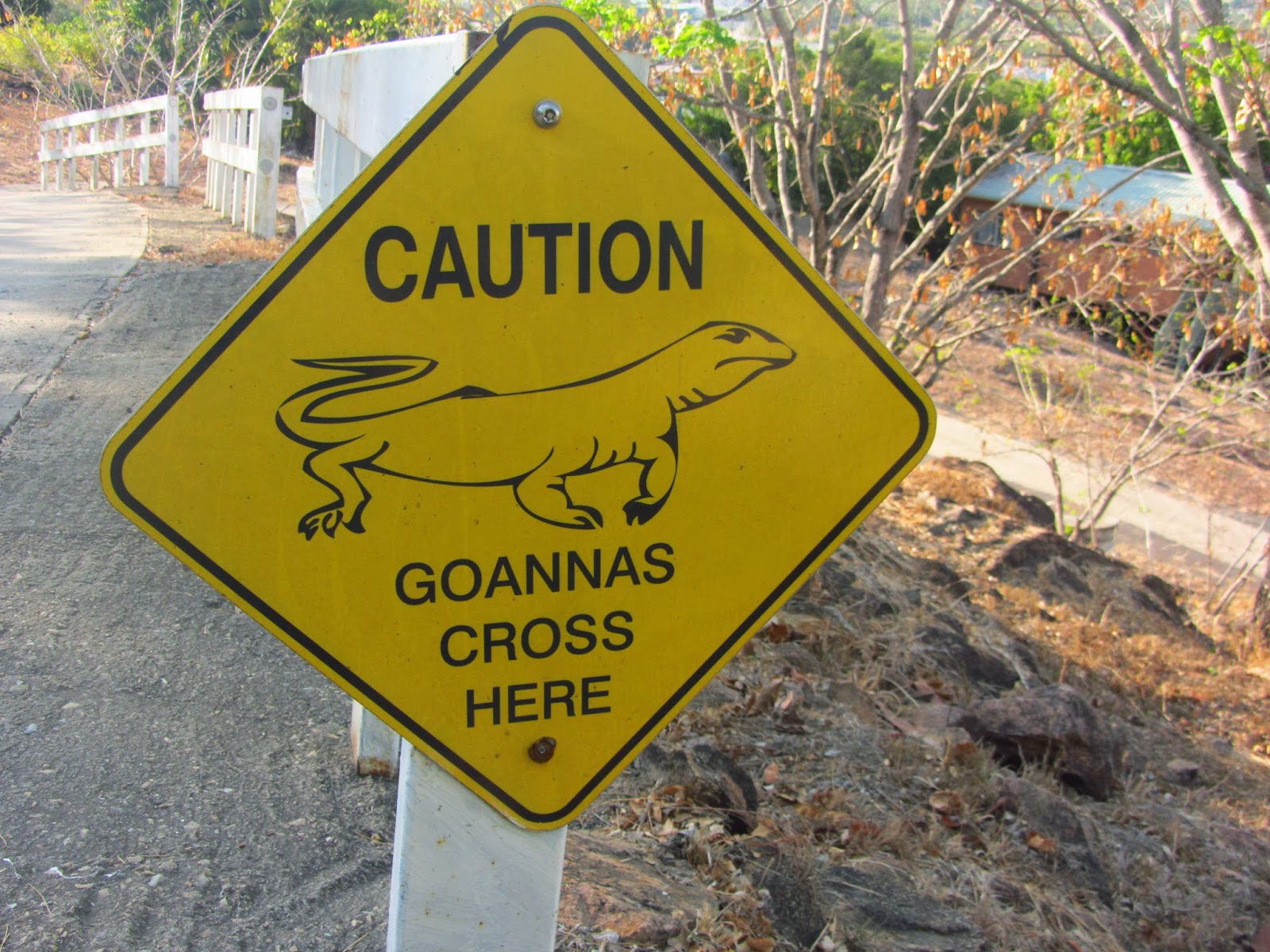 Walking with Friends Down Under: Finally a summit shot!