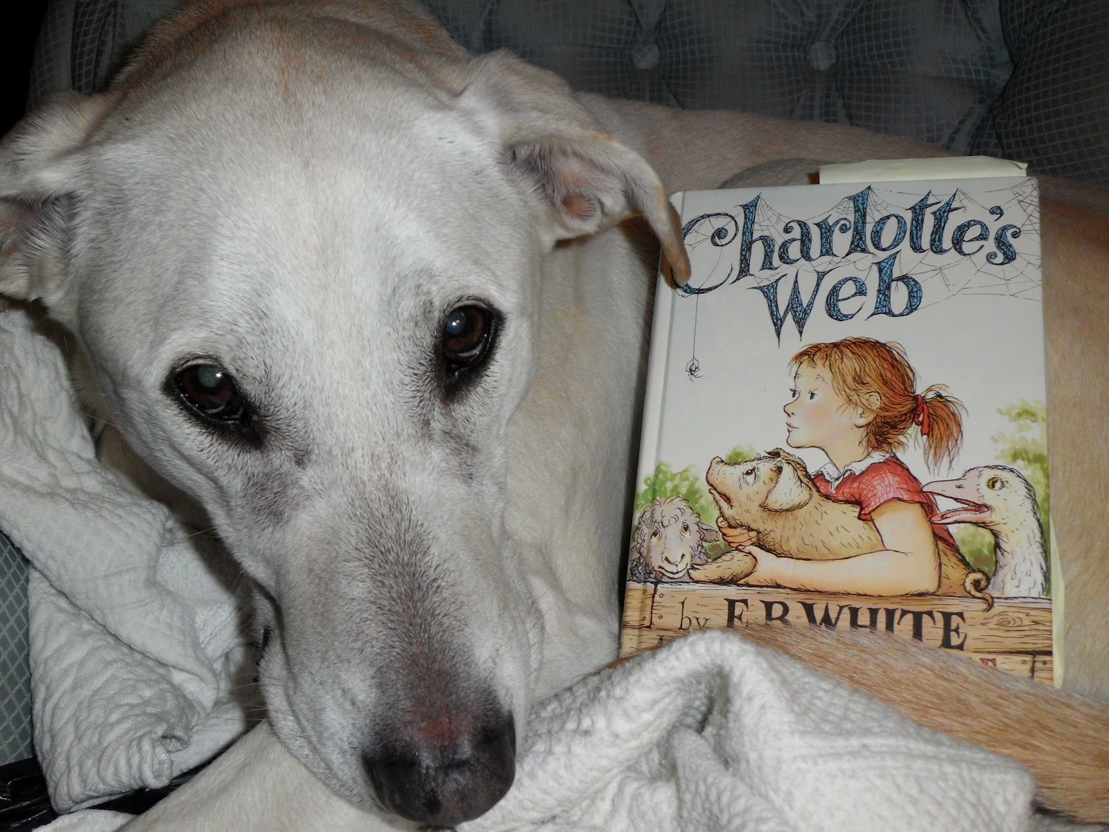 Naturally Spoken: What's Your Favorite Animal-themed Book?